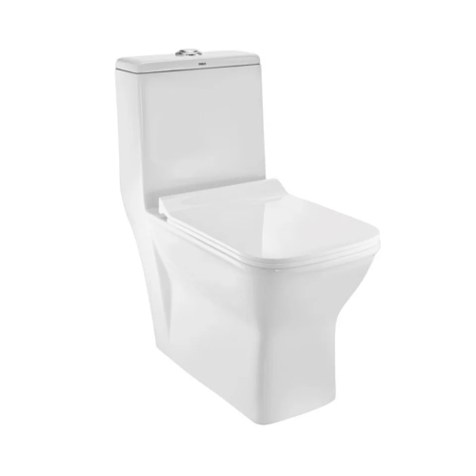 Jaquar Essco Rimless Single Piece WC - Jaquar Rishabh Sanitations